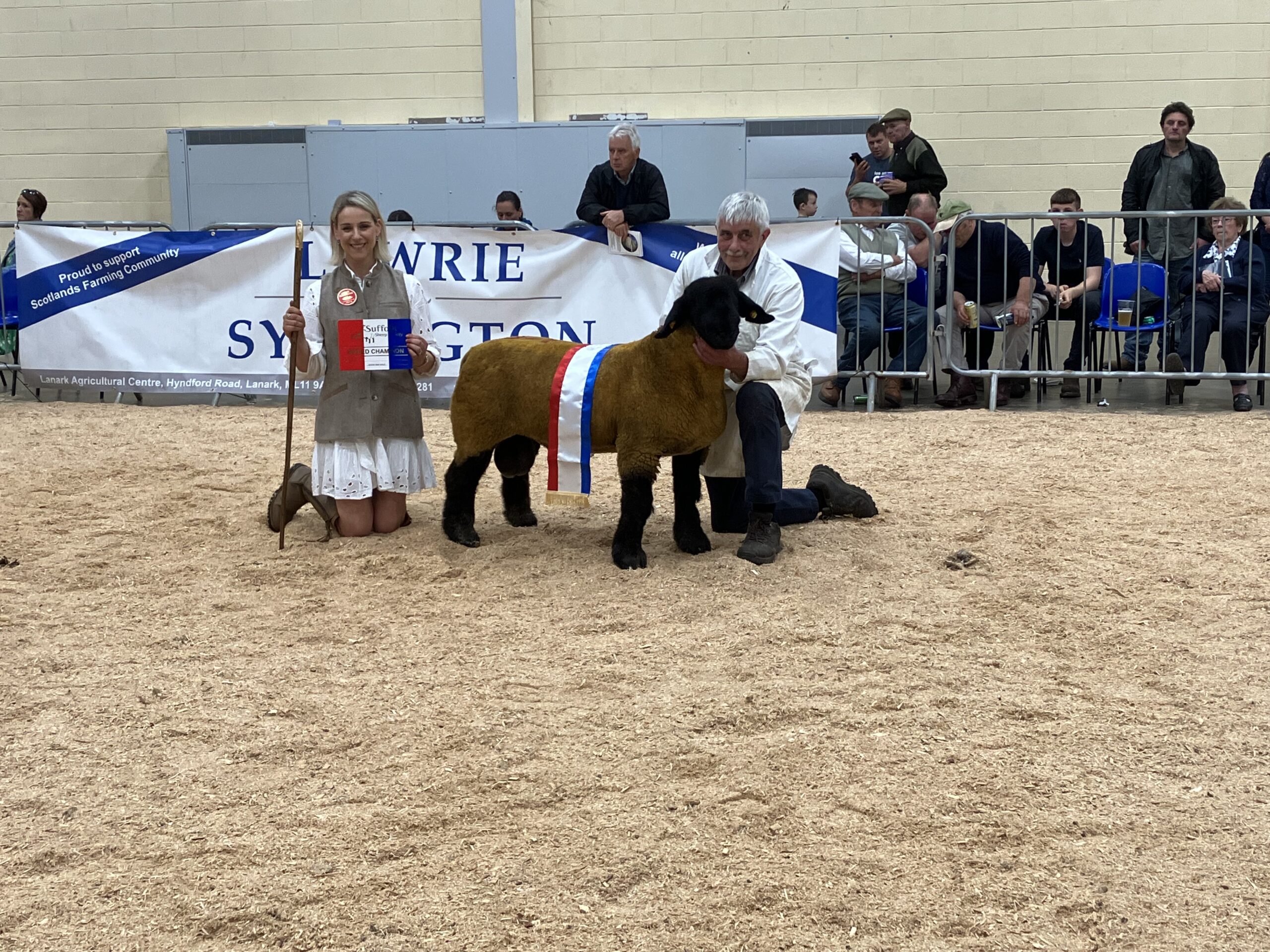 Friday 19th July 2024 – Show & Sale of Suffolk Sheep – Lawrie and Symington