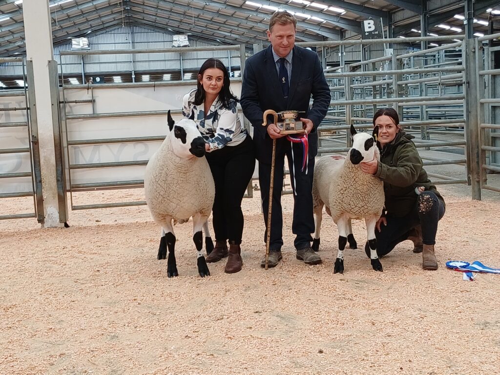 Show & Sale of Kerry Hill Sheep – Saturday 13th September 2025 – Lawrie ...