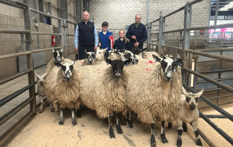 Lawrie & Symington | Auctions, Property & Country Supplies in Lanark